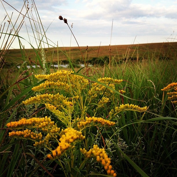 Denton, NE Map & Directions - MapQuest