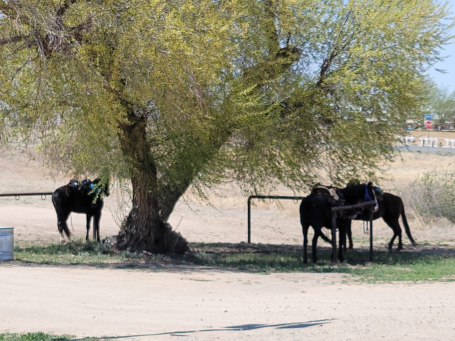Paulden, AZ Map & Directions - MapQuest