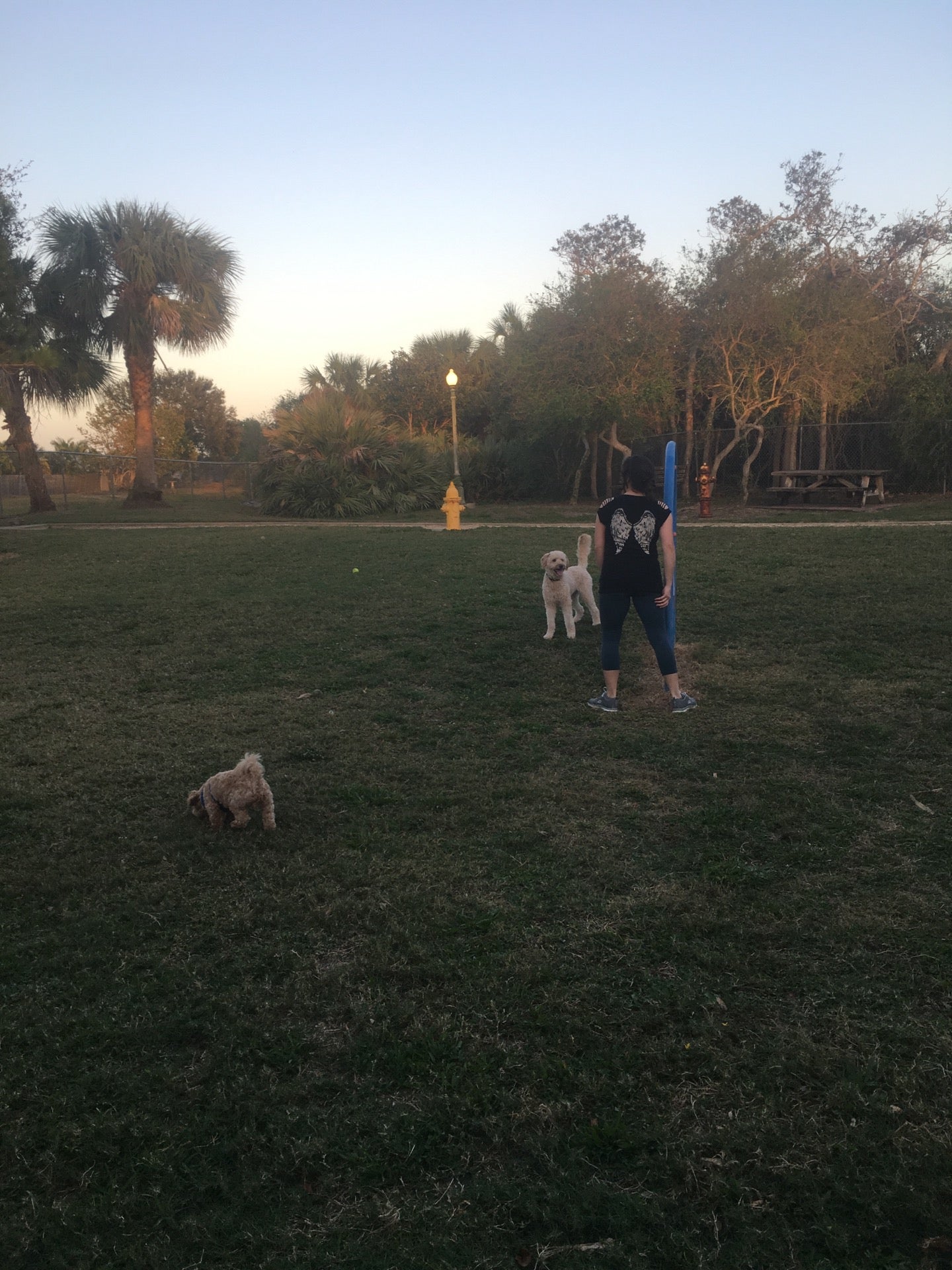 Satellite Beach, FL Map & Directions - MapQuest