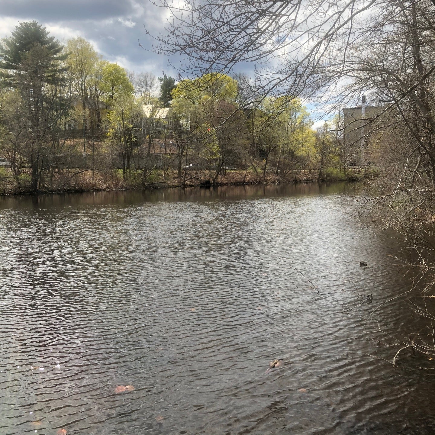 Watertown Riverfront Park Watertown, MA Parks - MapQuest