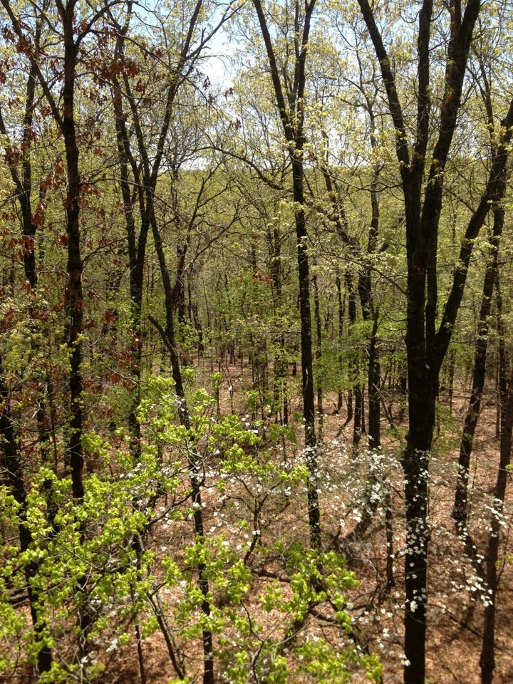 Fire Tower at Roaring River State Park, Eagle Rock, MO, Landmark - MapQuest