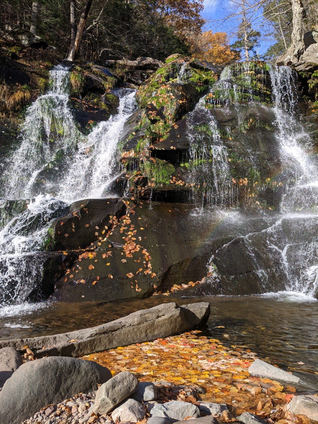 Kaaterskill Rail Trail Trailhead, Haines Falls, NY 12436, US - MapQuest