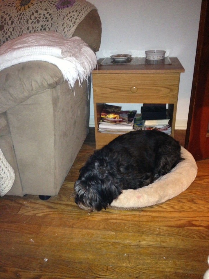 Rochester General Hospital, 1850 E Ridge Rd, Ste 5, Rochester, NY ...