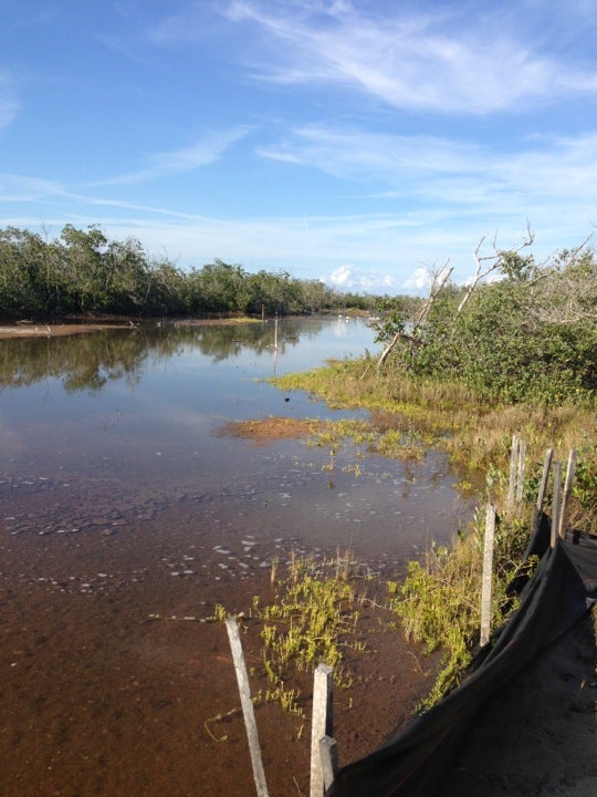 Little Pine Island Wetland Preserve, 2856-2898 Pine Island Rd NW ...
