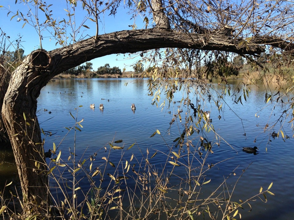 Guajome Regional Park, 3000 Guajome Lake Rd, Oceanside, CA, Parks ...