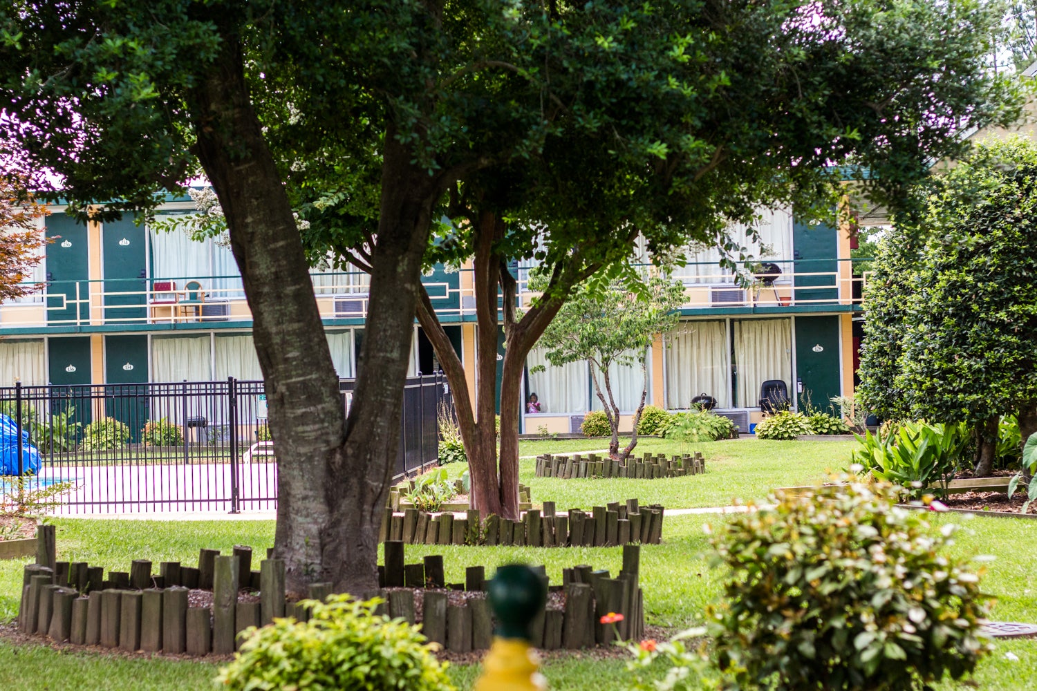 Selma, NC Map & Directions - MapQuest