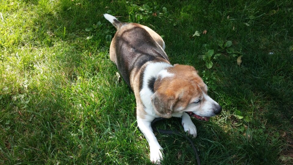 Shepherd, MT Map & Directions - MapQuest