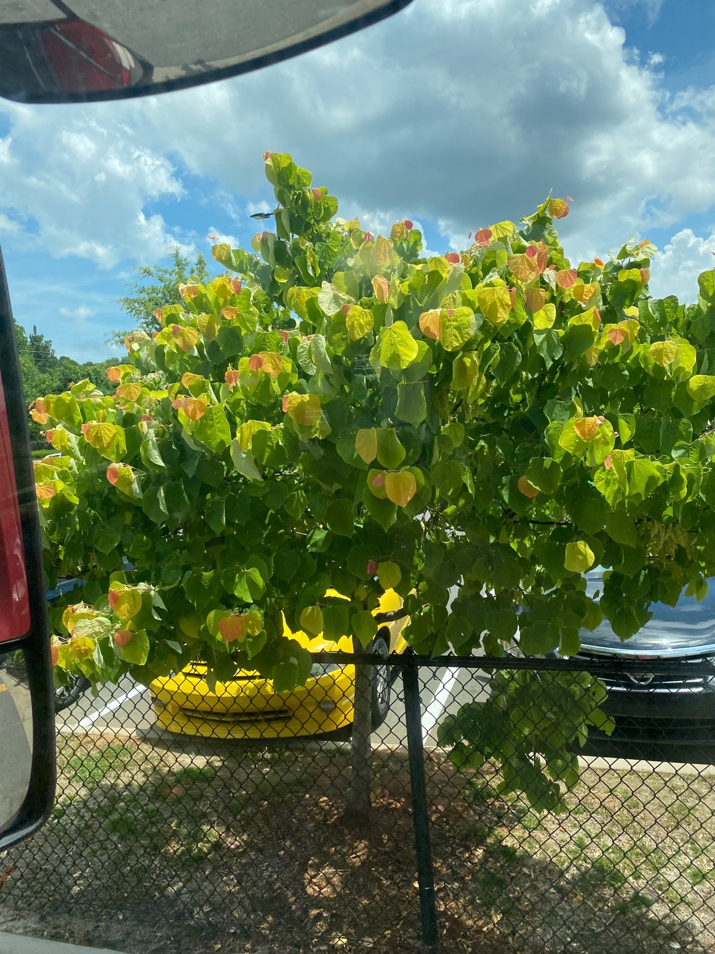 Amazon CLT2, Charlotte, NC, Distribution Centers - MapQuest