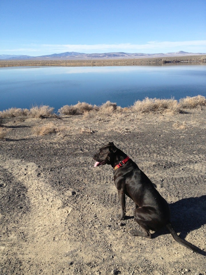 Soda Lake, Fallon, NV, Lake - MapQuest