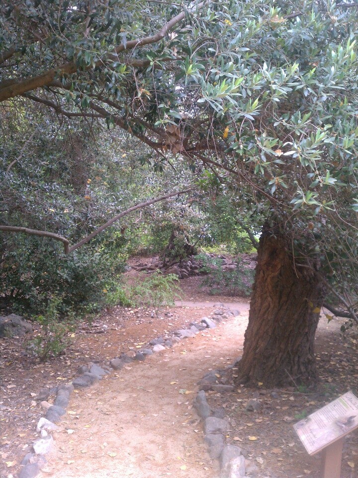 Silverado, CA Map & Directions - MapQuest