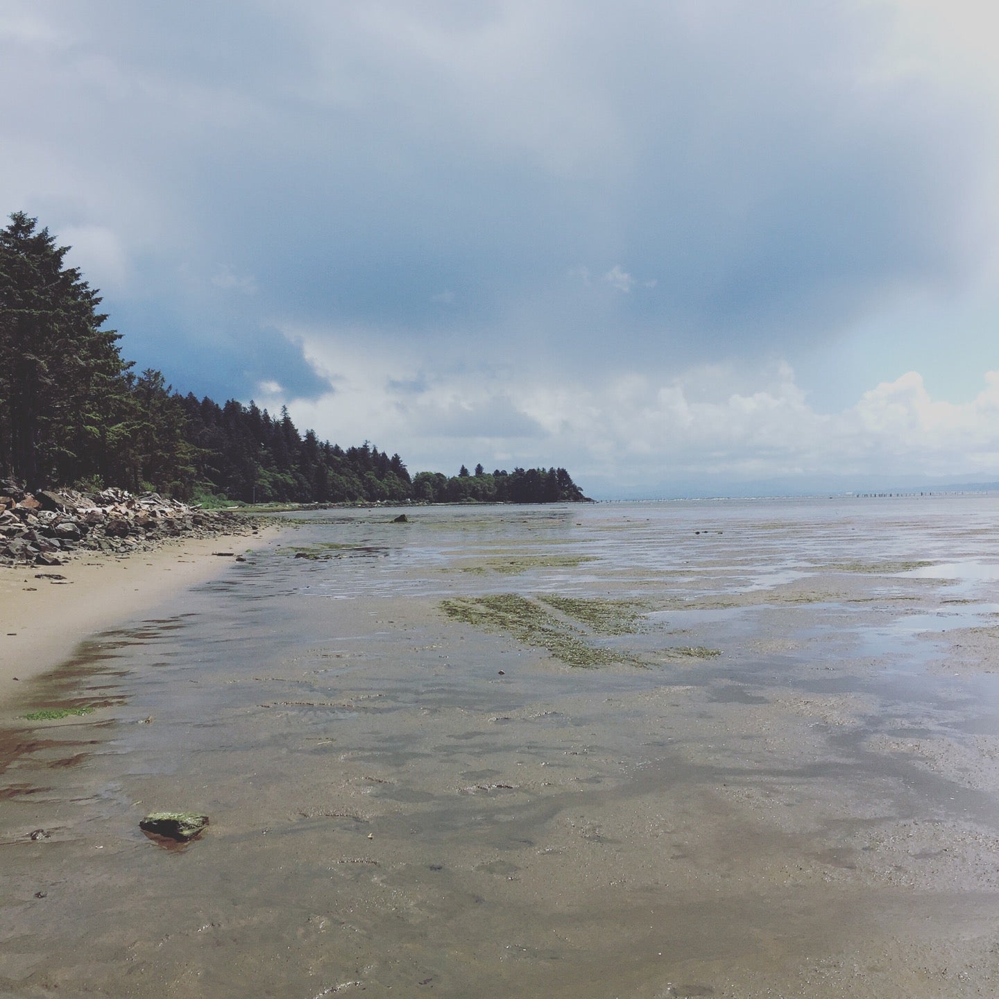 Chinook County Park, Chinook Park Rd, Chinook, WA, Beach - MapQuest