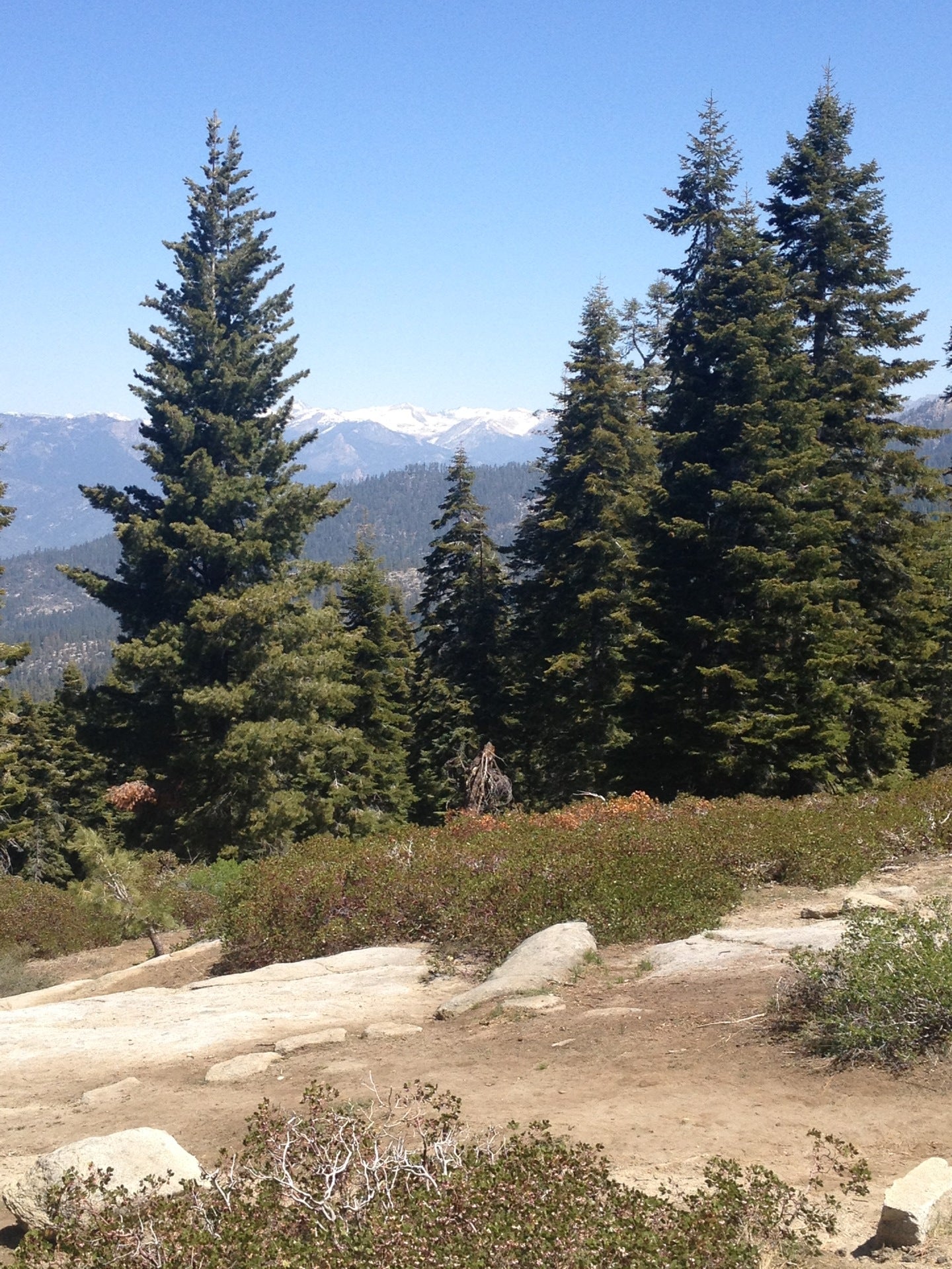 Redwood Mountain Grove, Generals Hwy, Wilsonia, CA, Services NEC - MapQuest