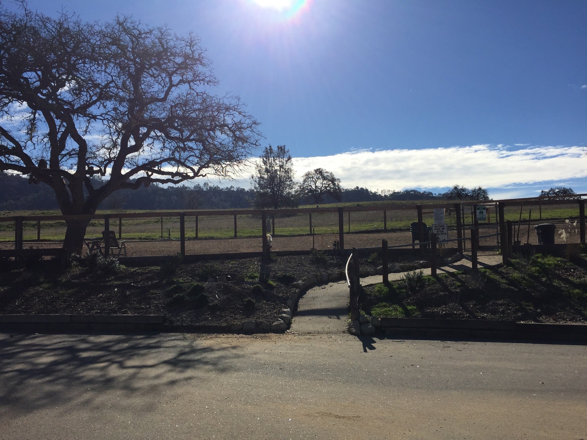 Heritage Ranch Dog Park, Park Rd, Paso Robles, CA, Parks - MapQuest
