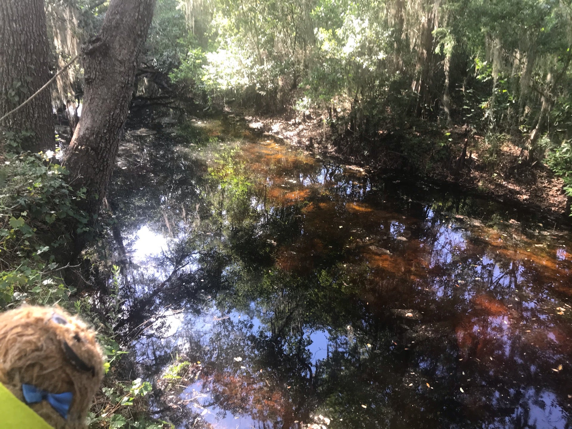 PEAR Park, Leesburg, FL, Parks - MapQuest