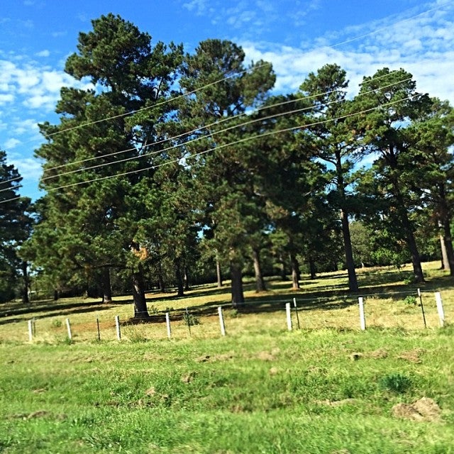 Elysian Fields, TX Map & Directions - MapQuest