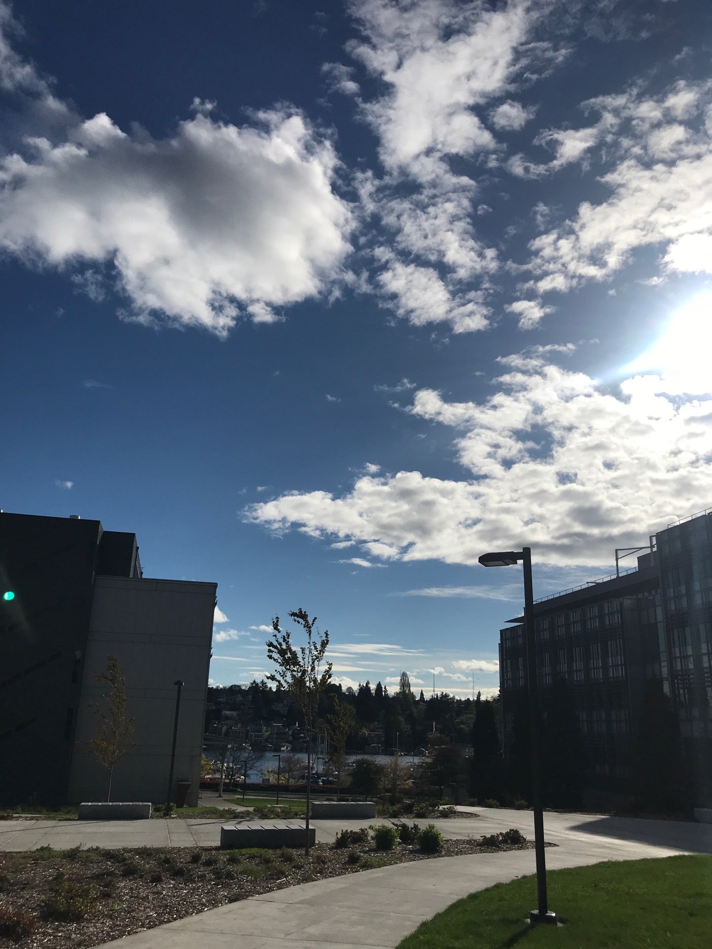 UW: William H. Foege Building, 1705 NE Pacific St, Seattle, WA ...