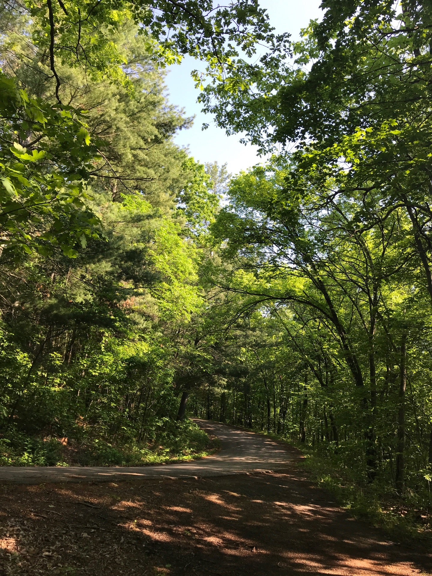 Red Bluff Campground, 235 Highway V, Davisville, MO, Campgrounds - MapQuest