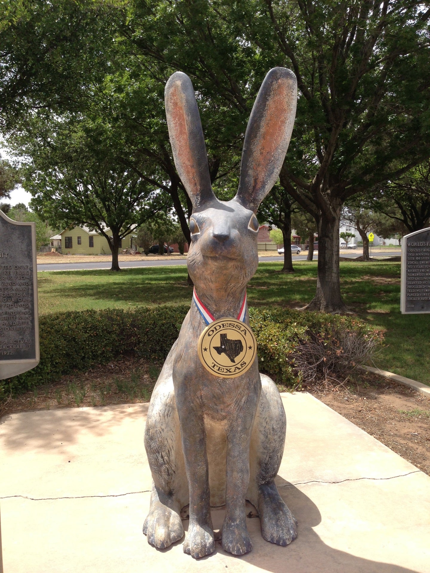 Jack Ben Rabbit, 802 N Sam Houston Ave, Odessa, TX, Outdoor Sports ...