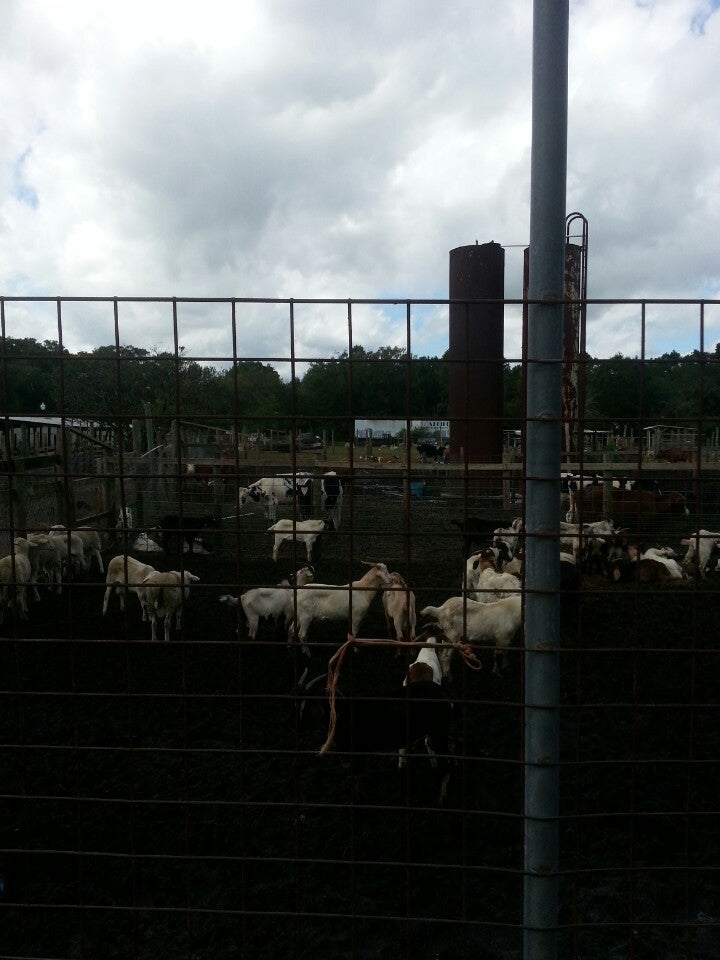 Ali Meat Industry, 1616 Dean Rd S, Orlando, FL, Grocery Stores - MapQuest