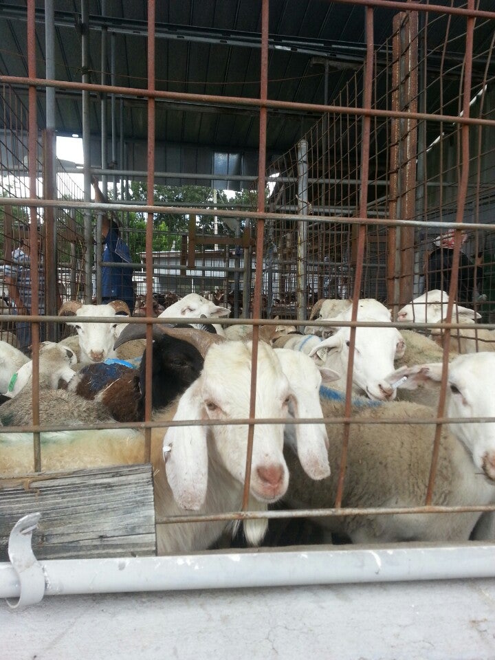 Ali Meat Industry, 1616 Dean Rd S, Orlando, FL, Grocery Stores - MapQuest