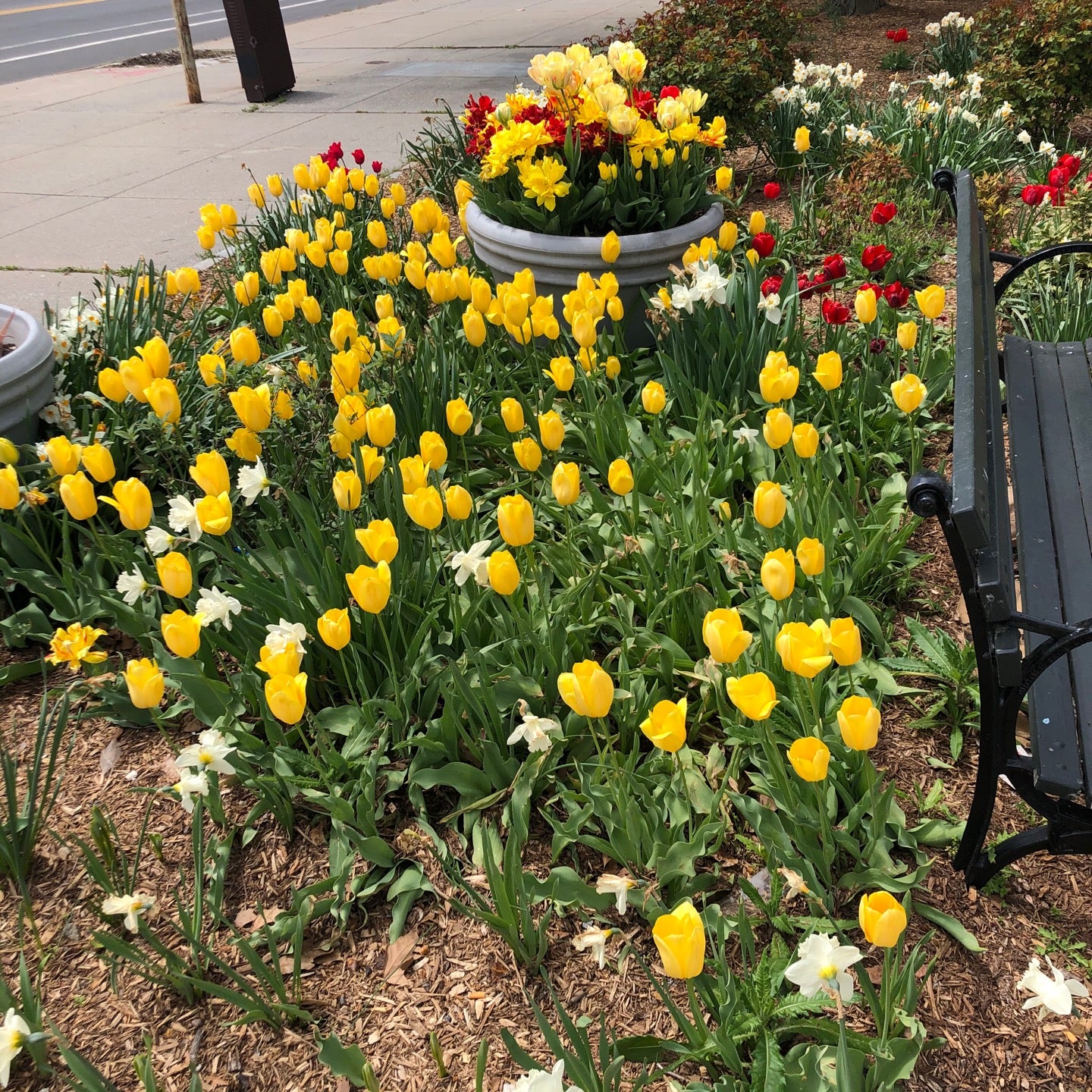 Colonel Donald Cook Square, Brooklyn, NY - MapQuest