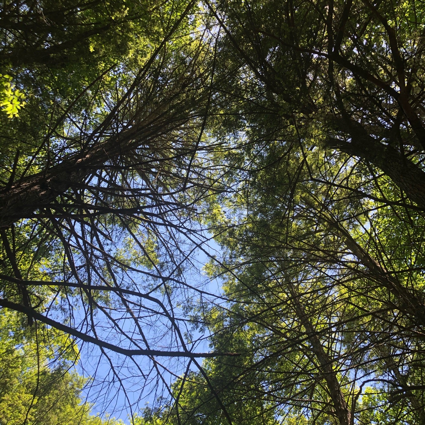 Neversink River Unique Area, Forestburgh, NY, Forest - MapQuest