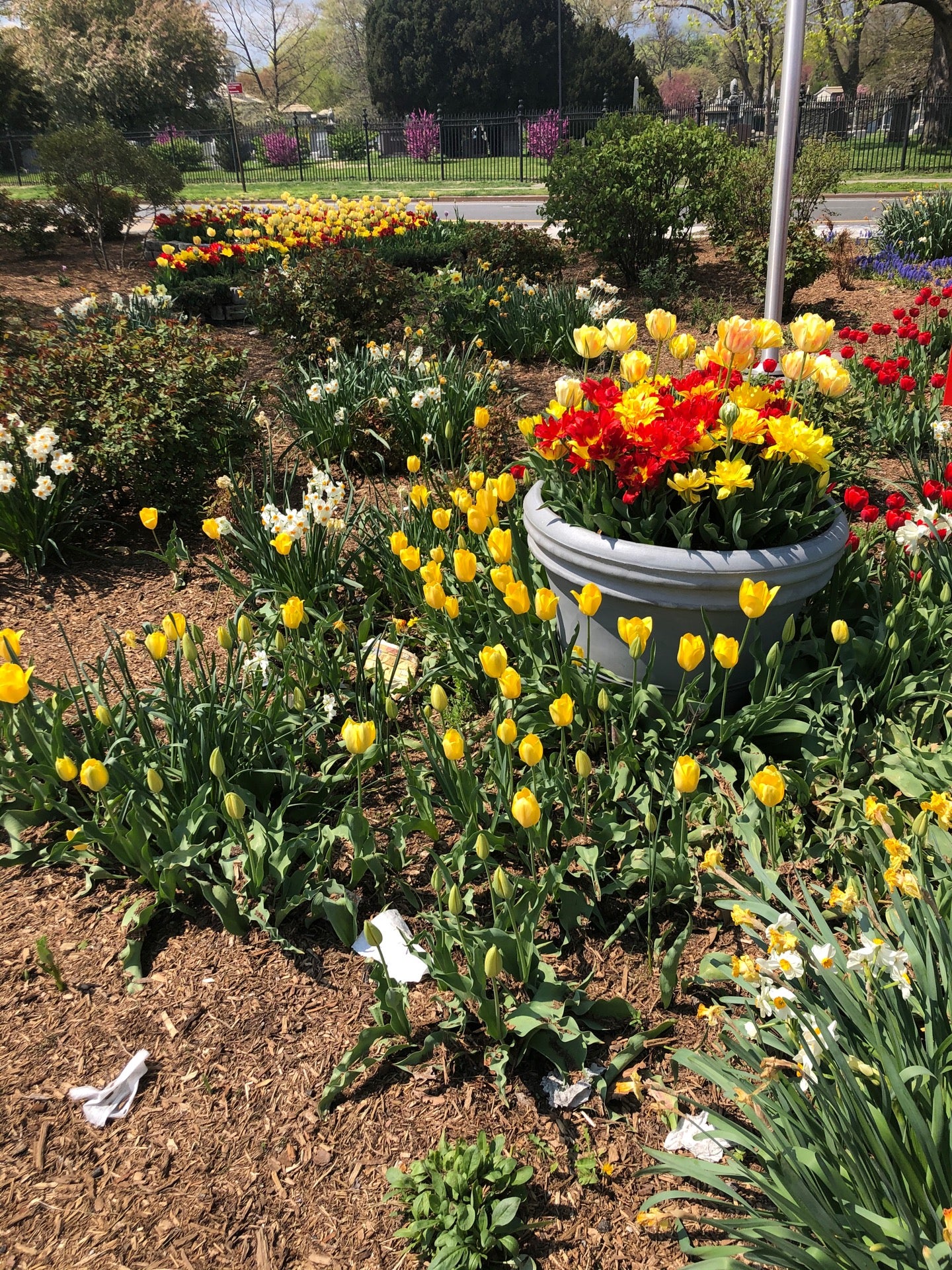 Colonel Donald Cook Square, Brooklyn, NY - MapQuest