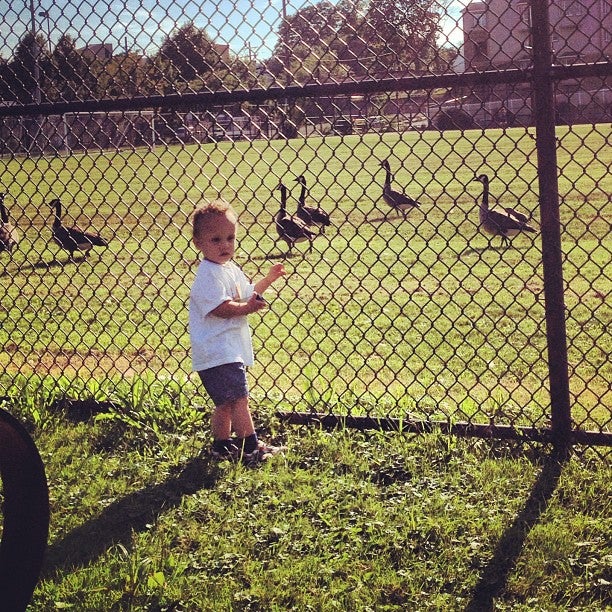 Memorial Park, Spring Valley, NY - MapQuest