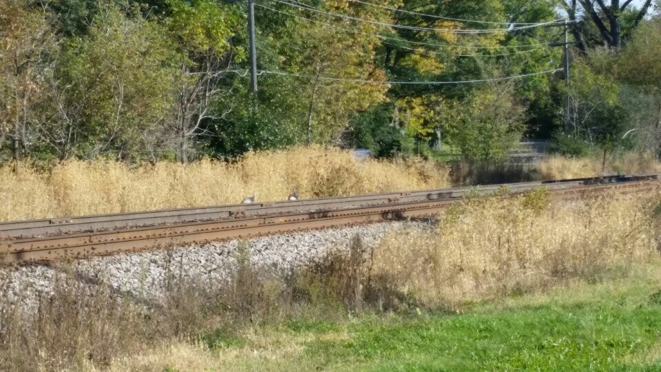 Nashotah, WI Map & Directions - MapQuest