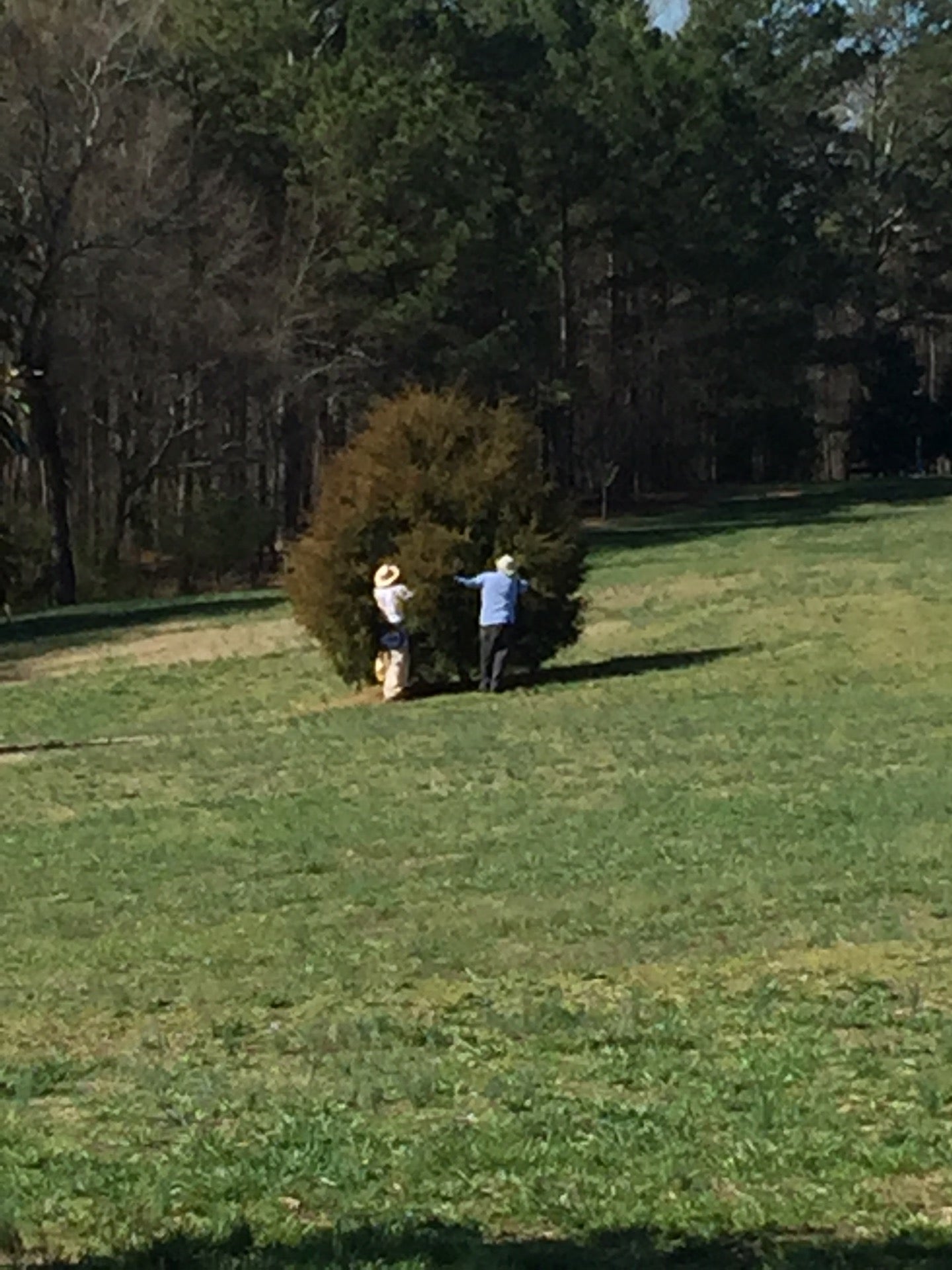 Alexander Park Disc Golf Course, 980 Old Snellville Hwy, # 1012 ...