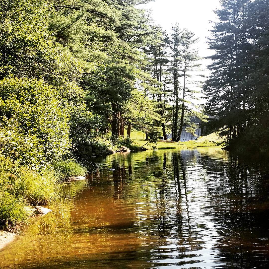 Musante Beach, Reservoir Rd, Northampton, MA - MapQuest
