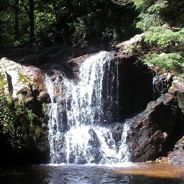 Patapsco State Park - Cascade Falls Trailhead, Elkridge, MD - MapQuest