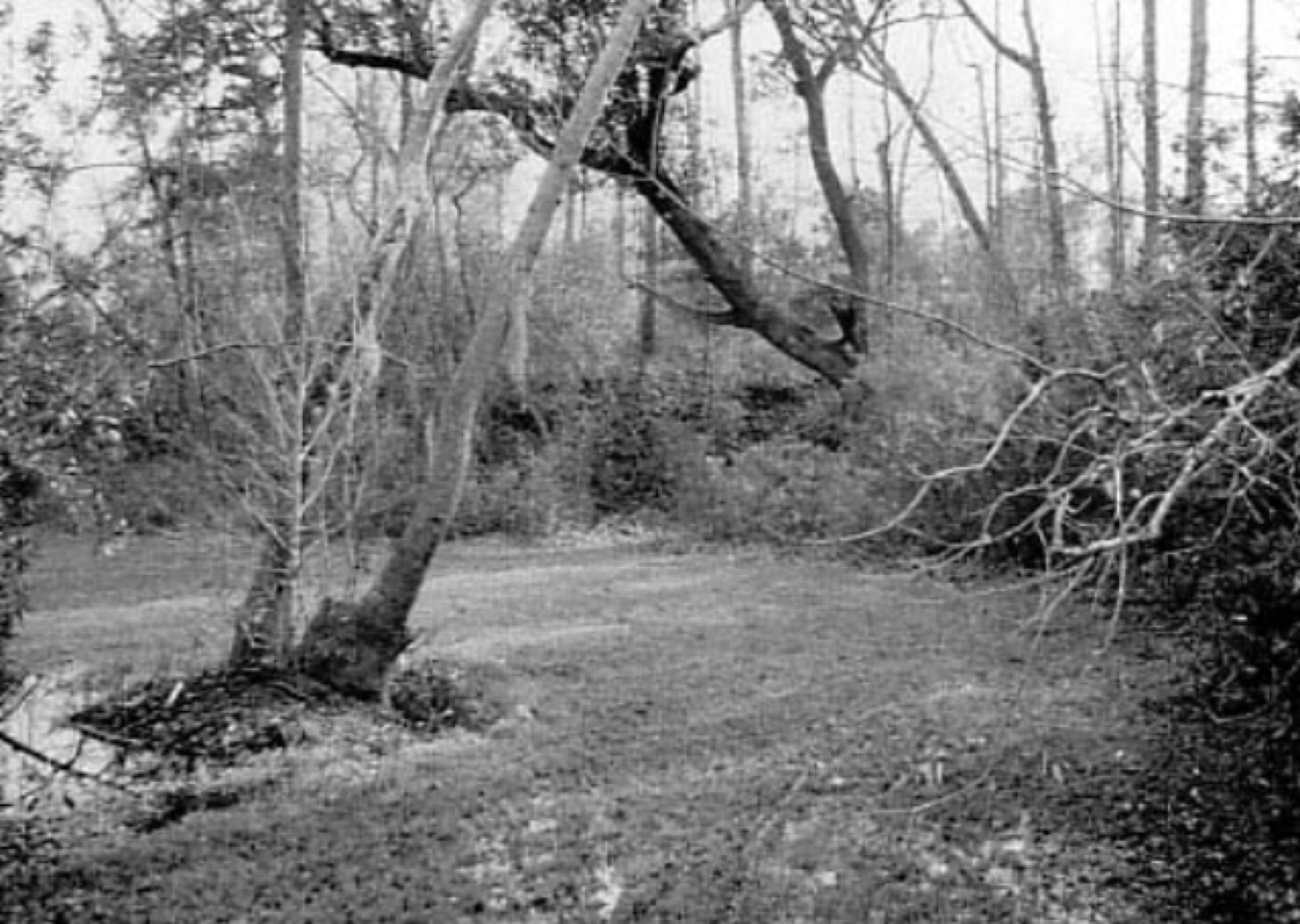 Fort Bull, Charleston, SC, Historical Places - MapQuest