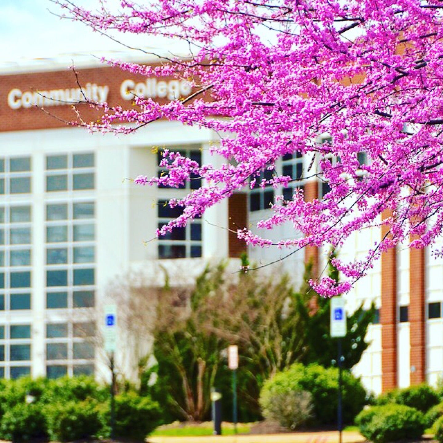 Germanna Community College, 10000 Germanna Point Dr, Fredericksburg, VA ...