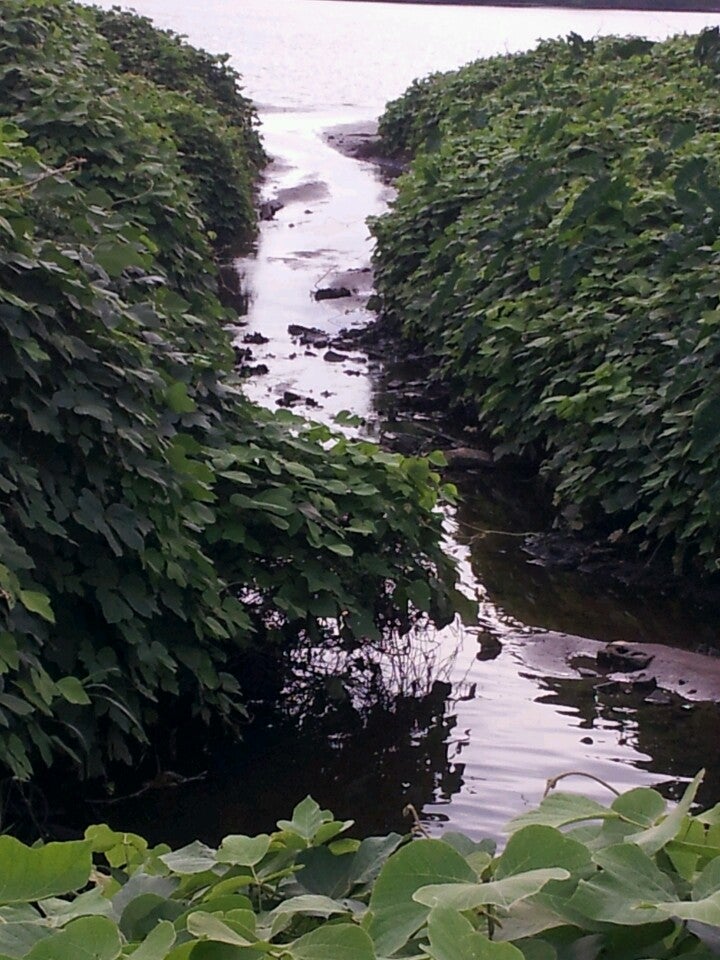 Millville Waterfront Park, Kirklin Ave, Panama City, FL, Outdoor Sports ...