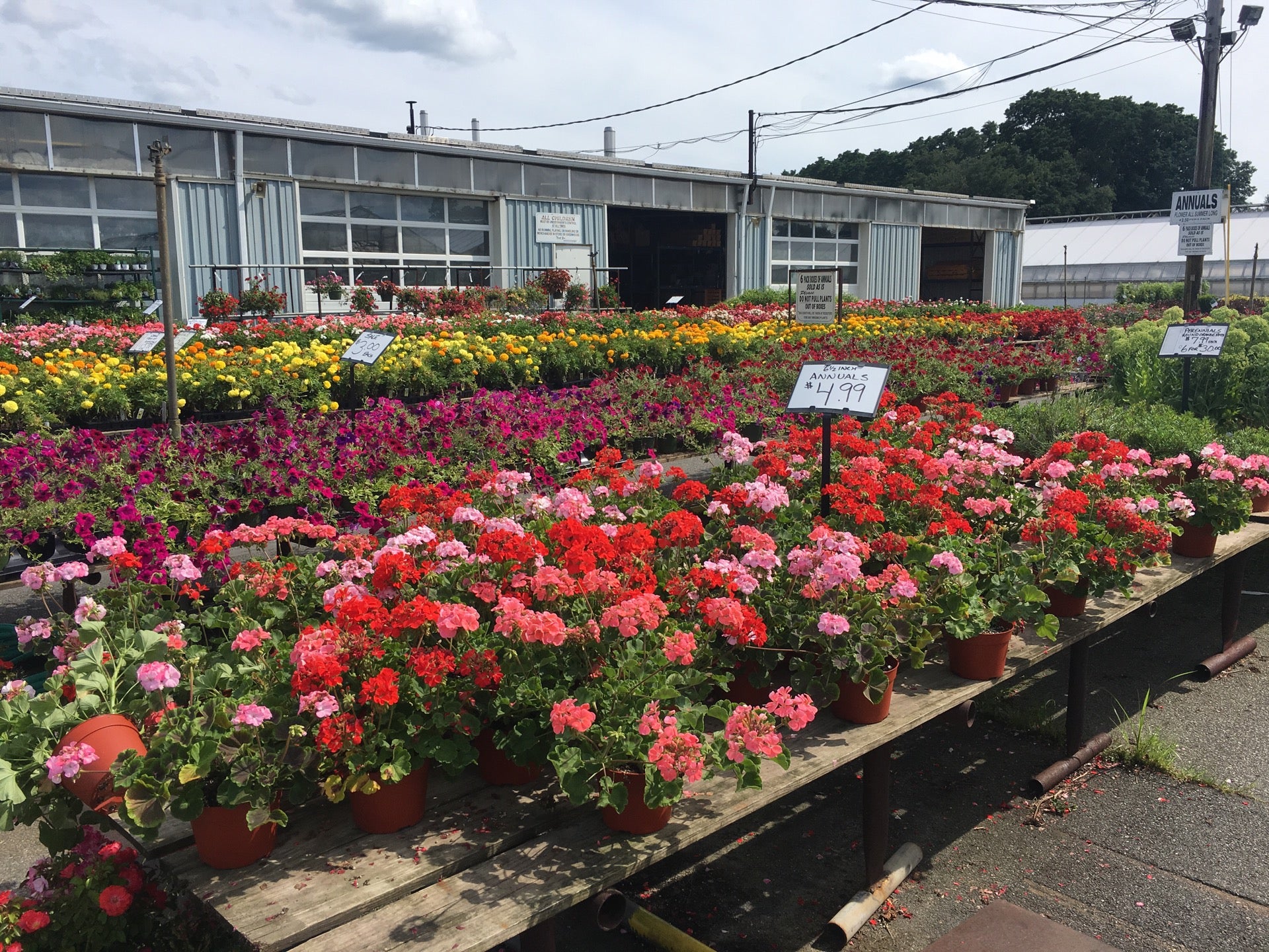 Kane S Flower World Danvers Ma Hours | Best Flower Site