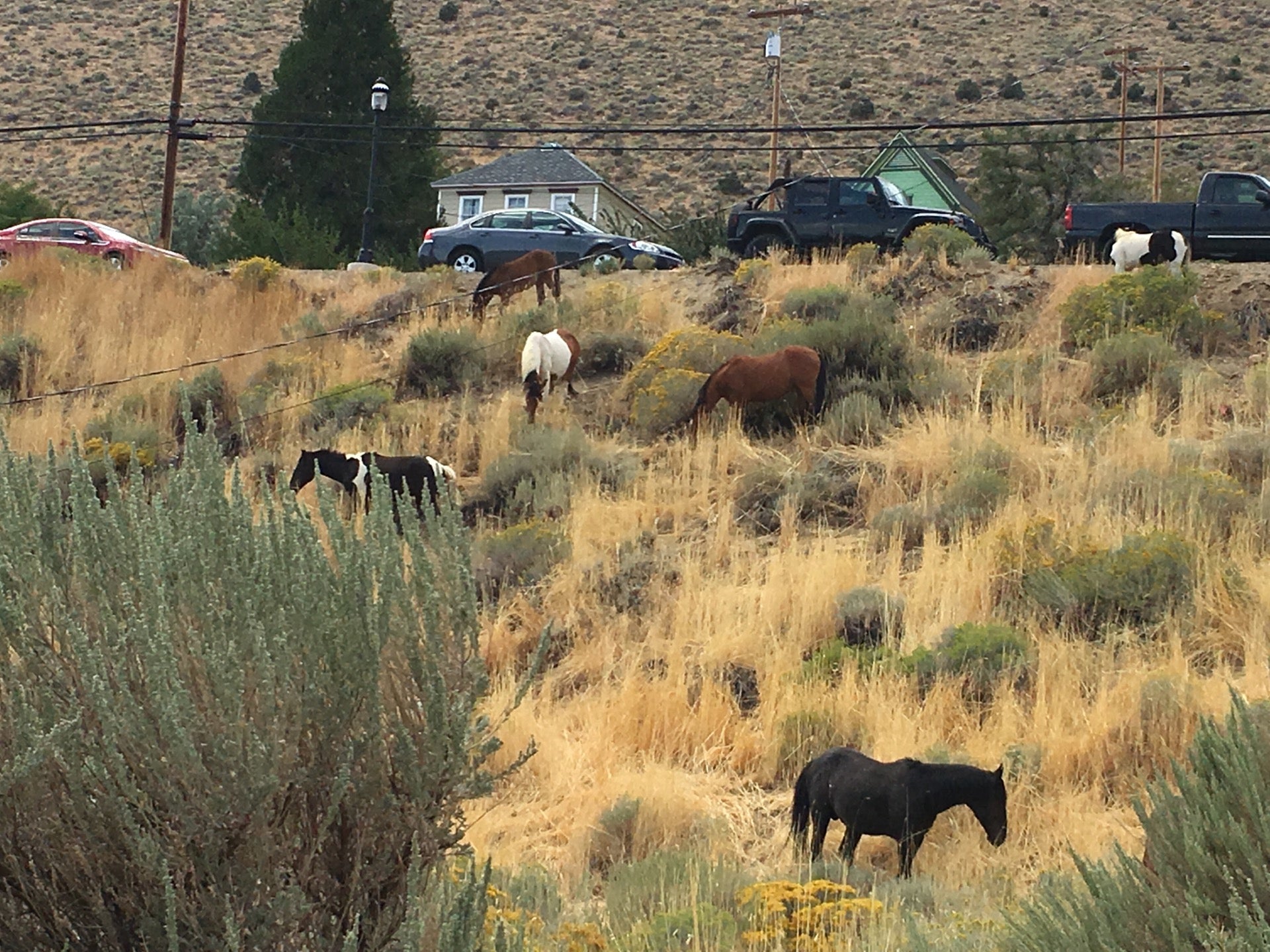 Silver City, NV Map & Directions - MapQuest