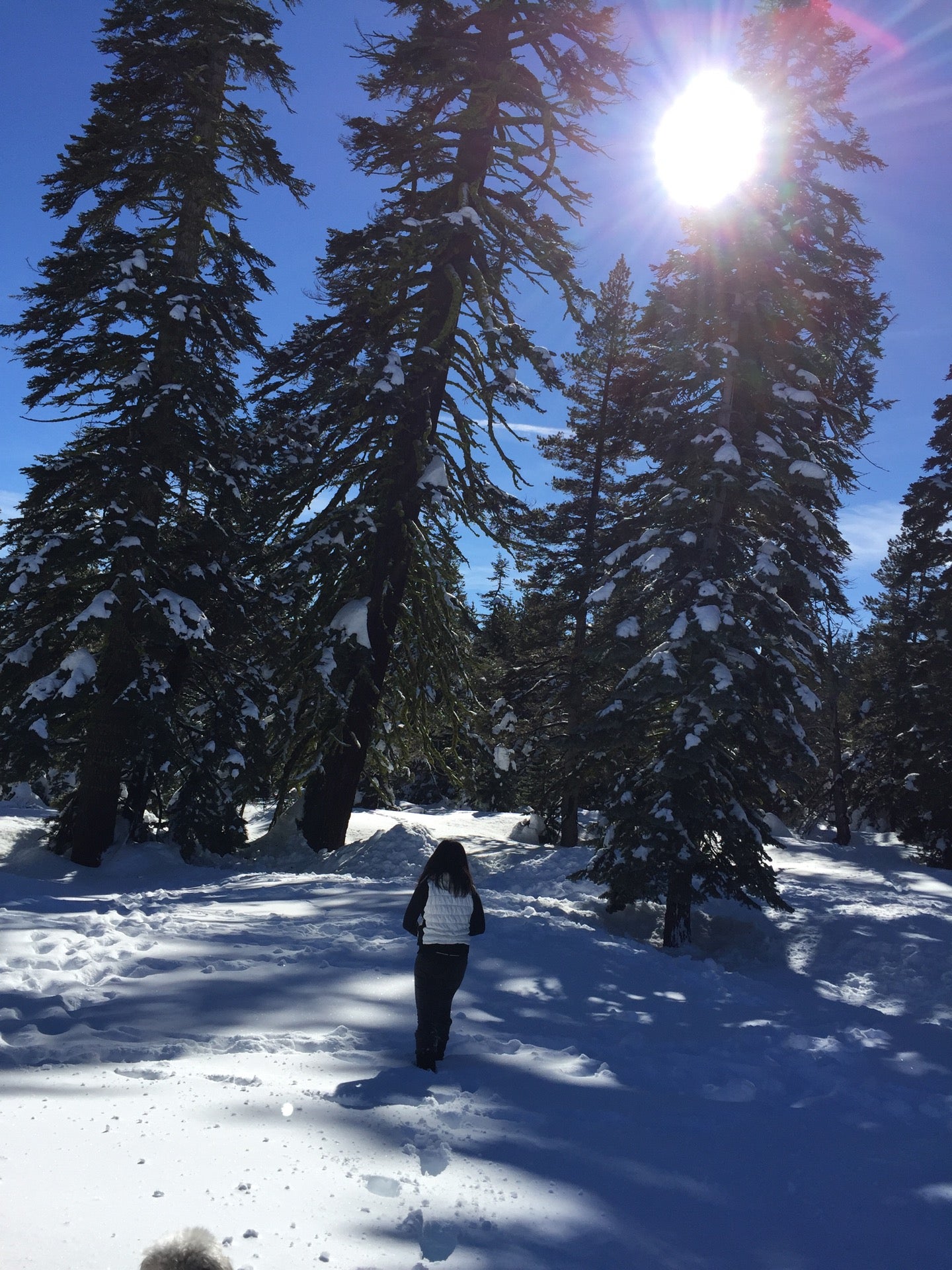 Kyburz, CA Map & Directions - MapQuest