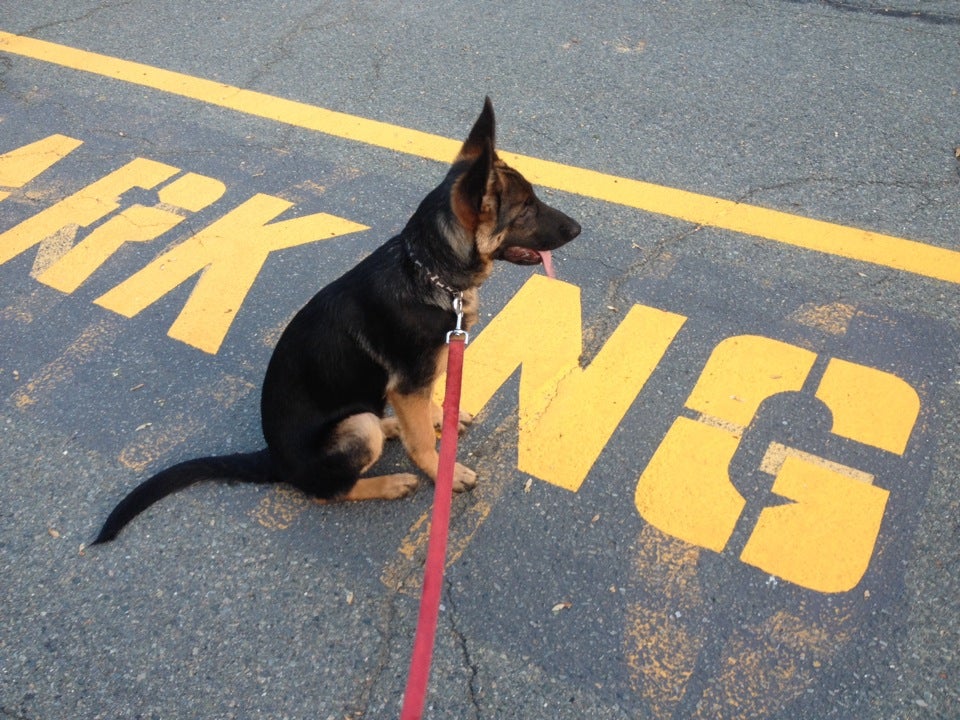 Mass State Police Forensic Lab, Acton St, Maynard, MA - MapQuest