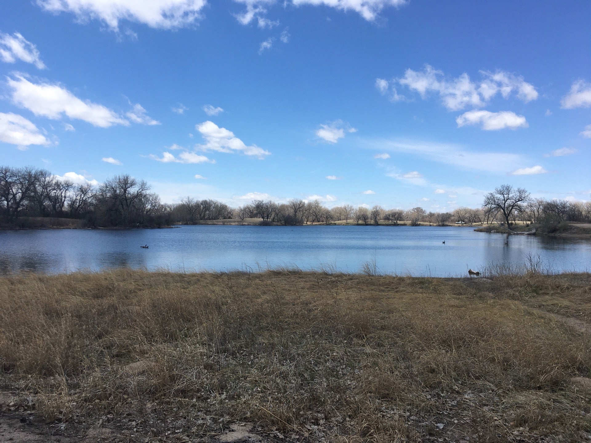 Population Of Bayard Nebraska at Arthur Poulsen blog