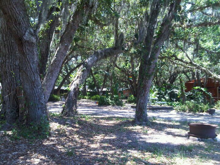 Venus, FL Map & Directions - MapQuest