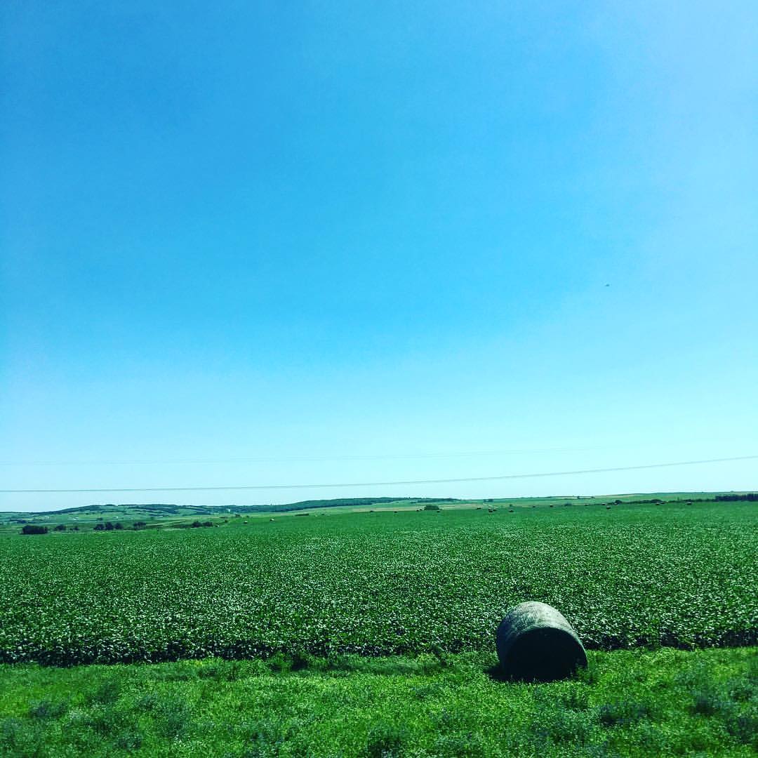 Maddock, ND Map & Directions - MapQuest