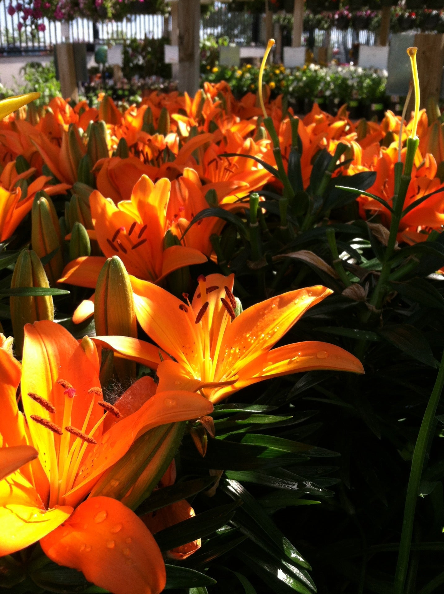 Menards, 2851 Milwaukee Rd, Beloit, WI - MapQuest