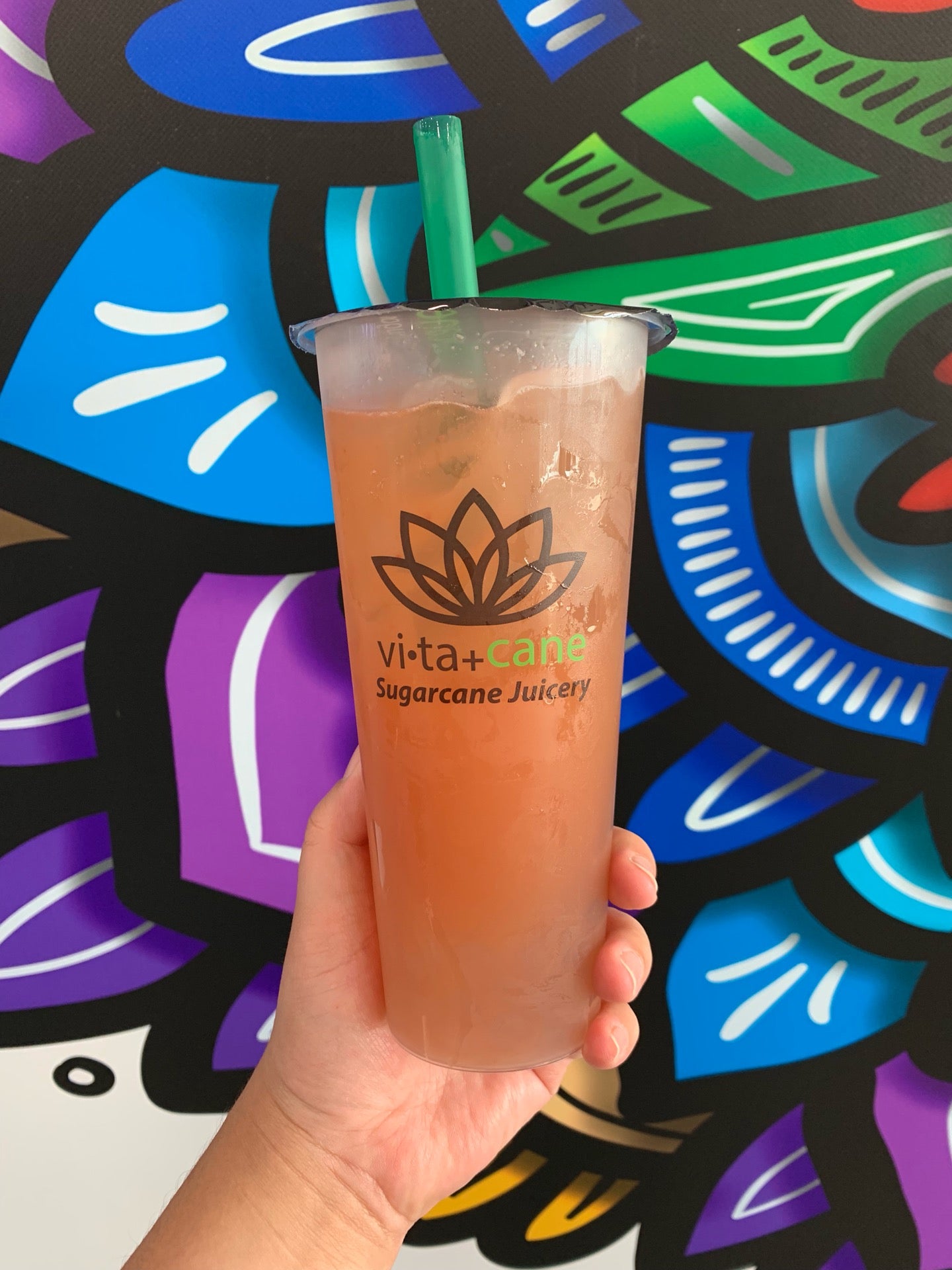 Vita Sugar Cane Juice