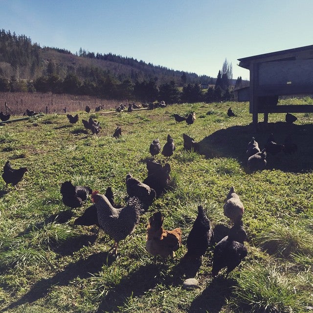 Chimacum, WA Map & Directions - MapQuest