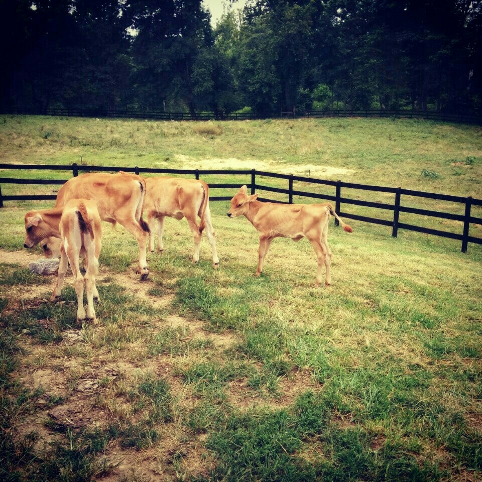 Hughesville, MD Map & Directions - MapQuest