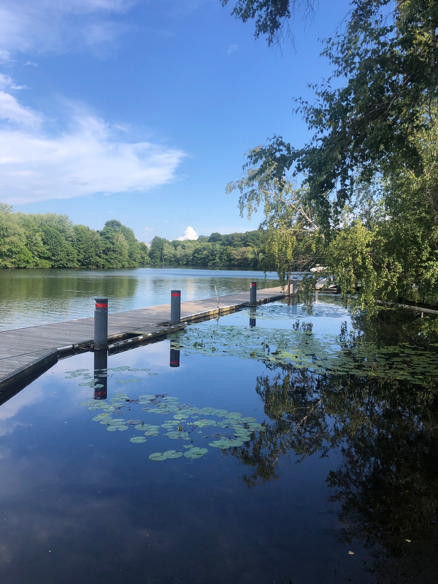 Watertown Riverfront Park, Charles River Rd, Watertown, MA, Parks ...