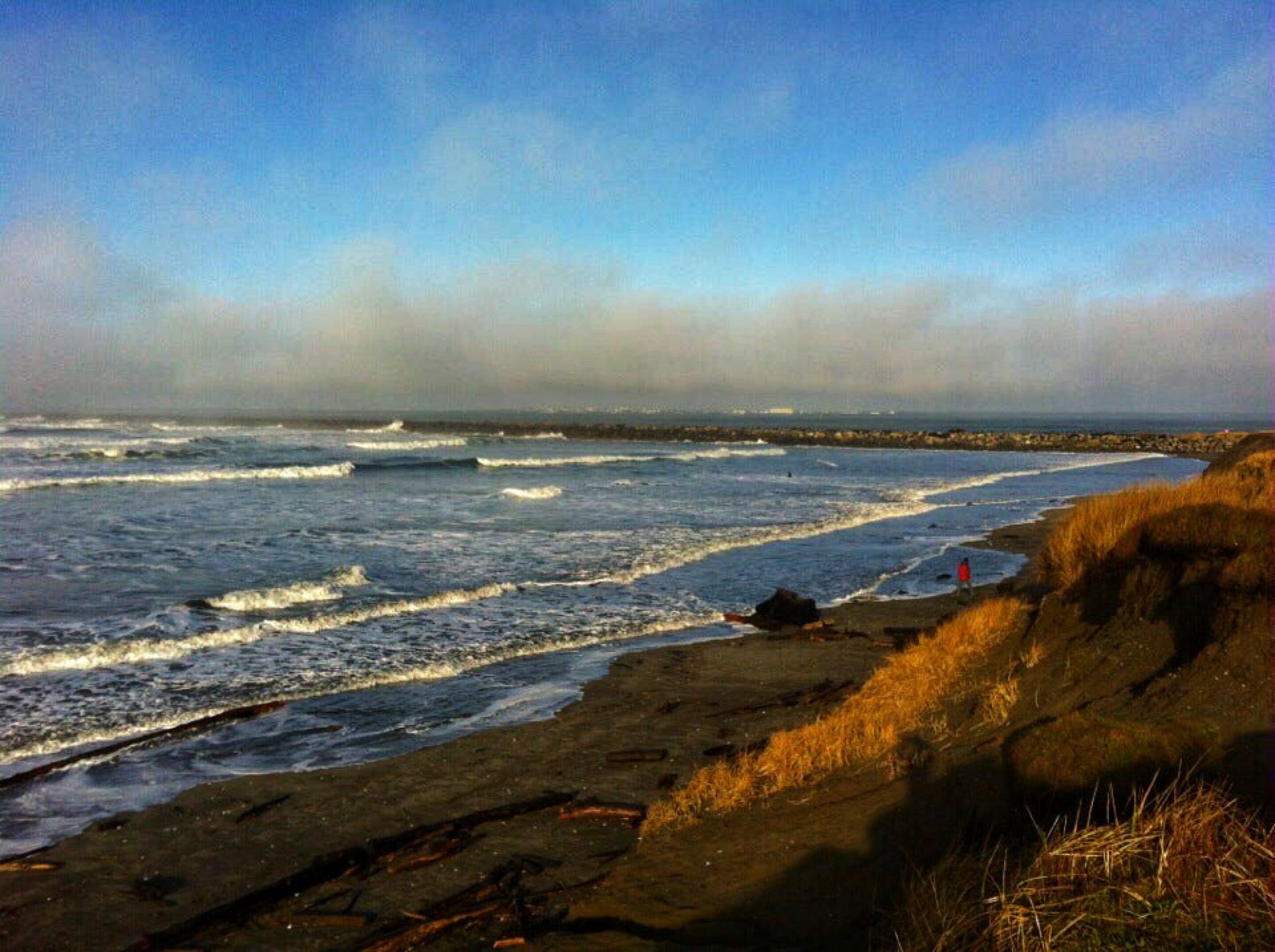 Westhaven State Park, 1595 Ocean Ave, Westport, WA, Parks - MapQuest