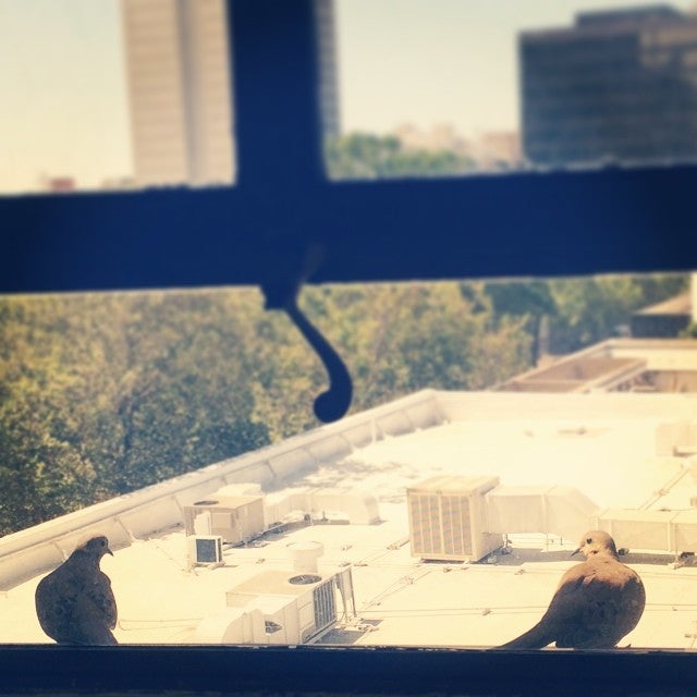 Breuner Building, 2201 Broadway, Oakland, CA, Business Services - MapQuest