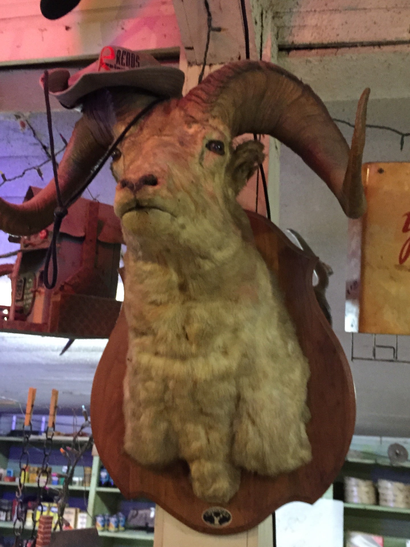 Cele Store, 18726 Cameron Rd, Manor, TX, Barbecue restaurant - MapQuest